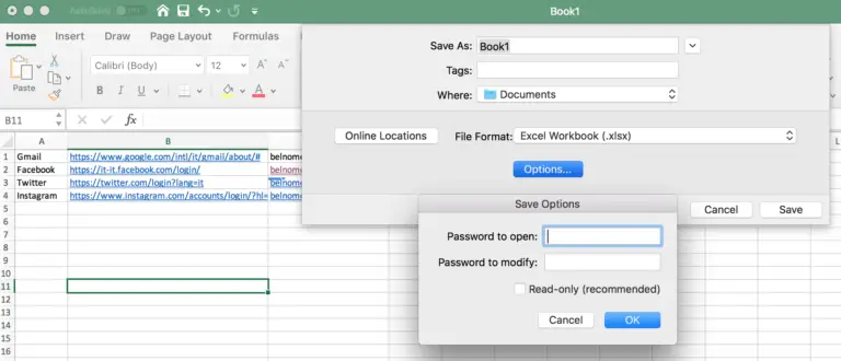 Usare un foglio excel per memorizzare password - Informaticappunti
